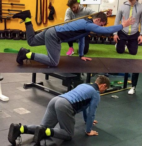 Quadruped Rotary Stability - Movement As Medicine